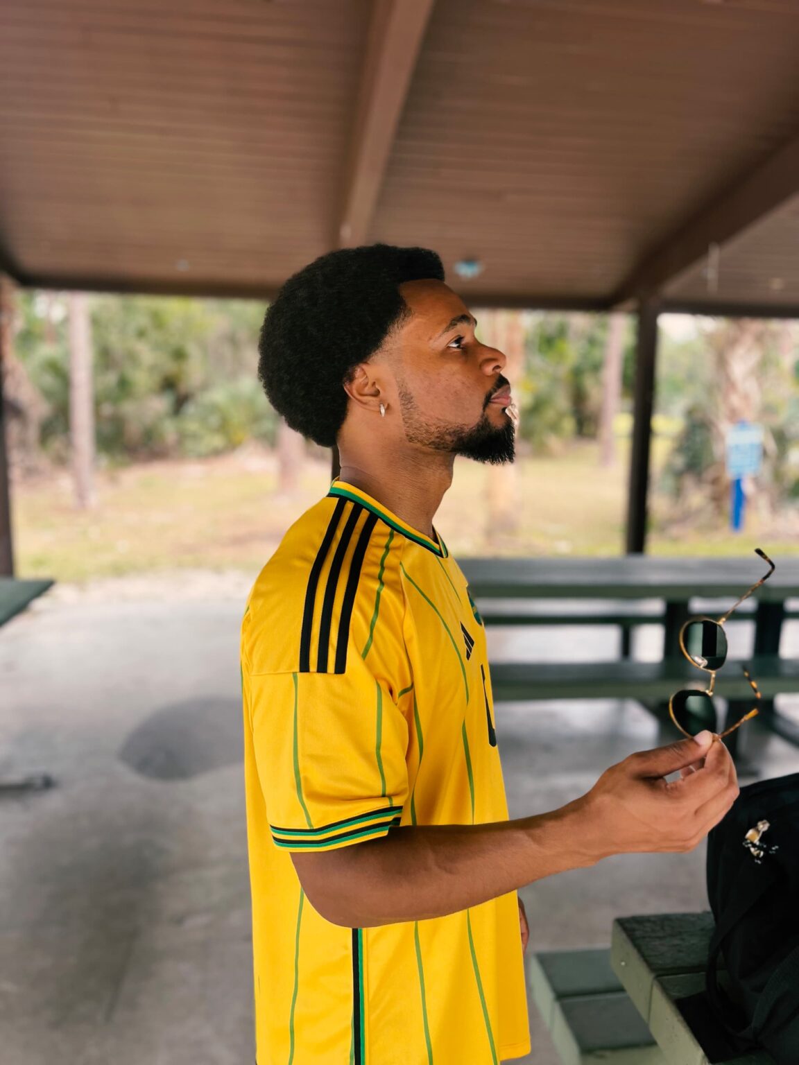 Super Saiyan Jay’s Sonic Brilliance: Exploring HIP-HOP Masterpiece ...